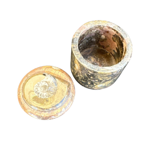 Ammonite Vanity Box – Jurassic Gallery